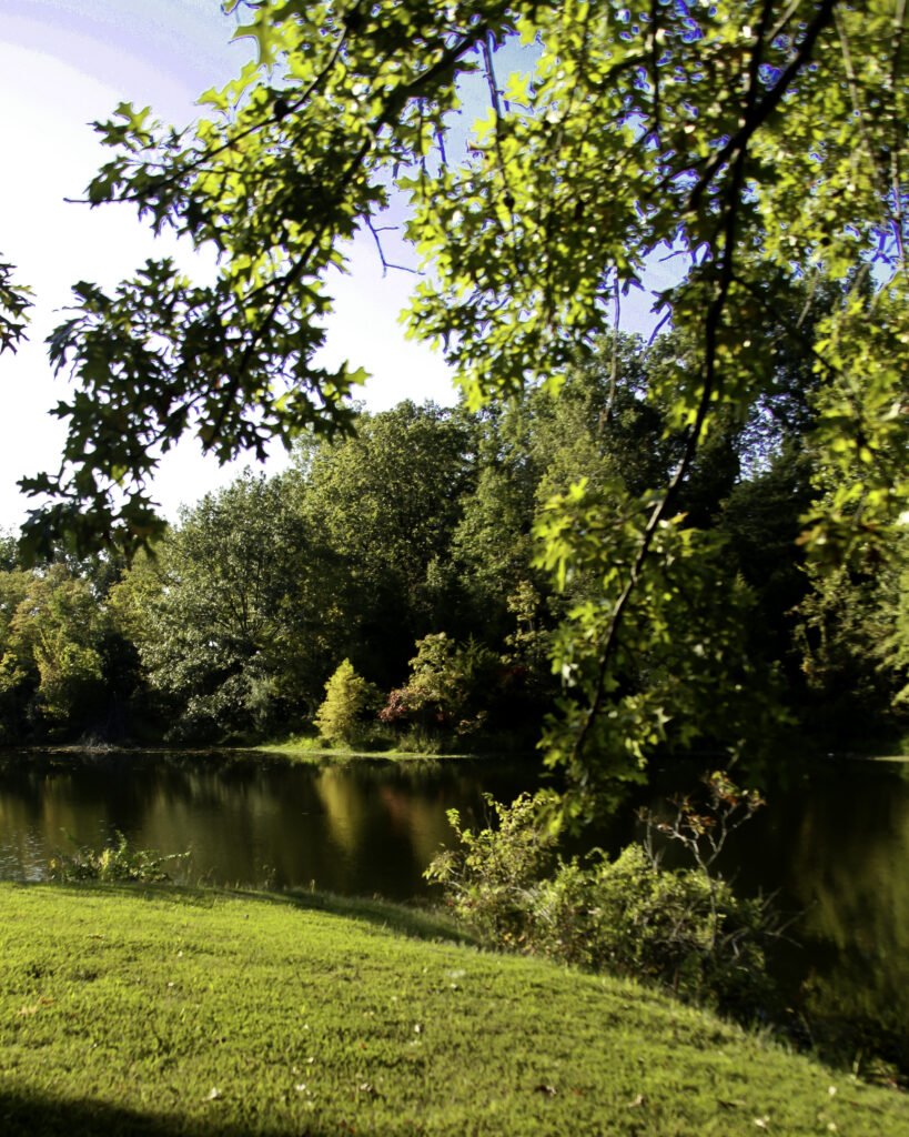 Cannon Park - visitSI