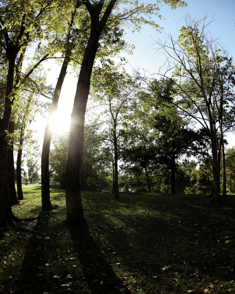 Cannon Park - visitSI
