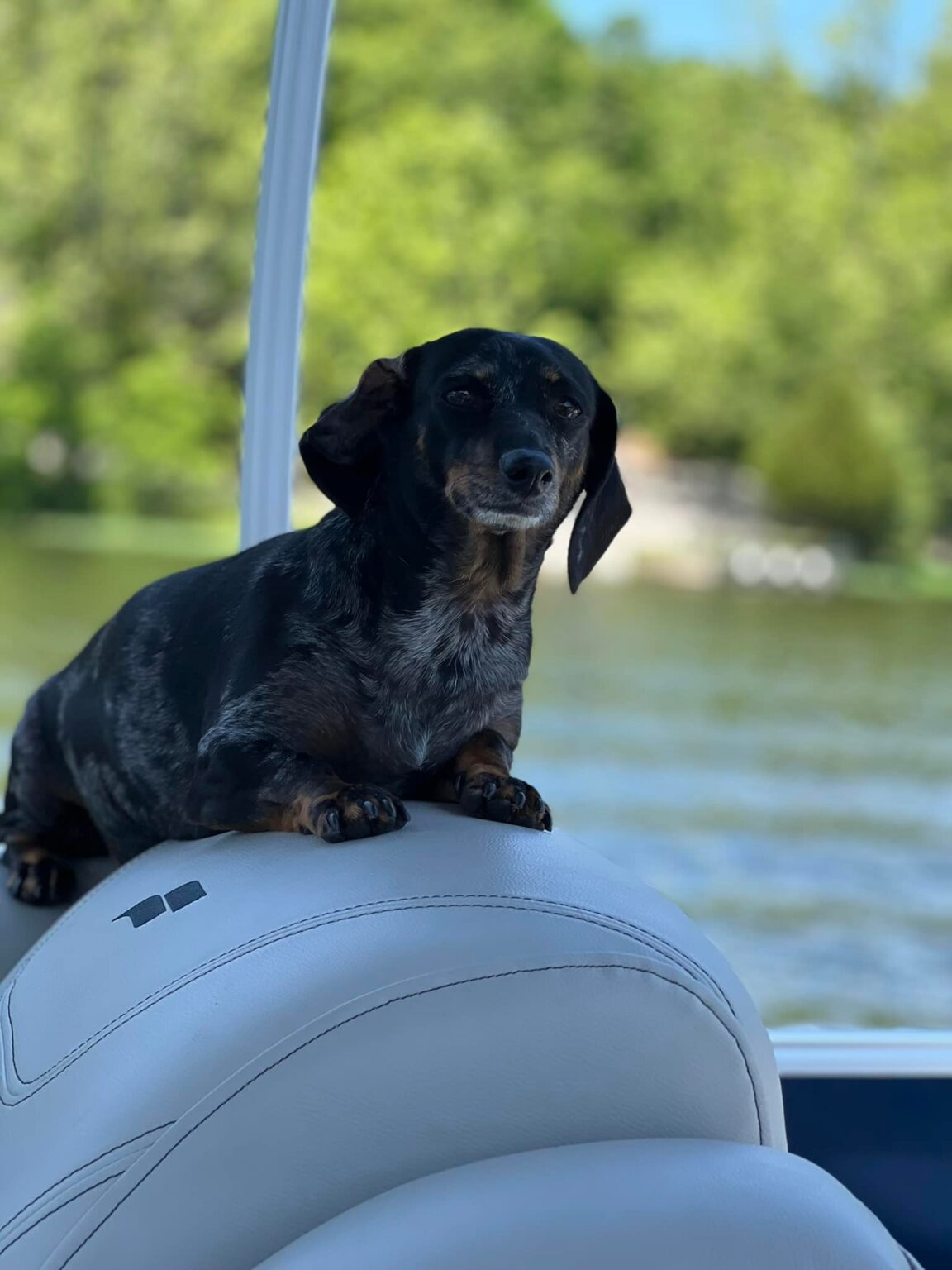 Weiner Rides - visitSI