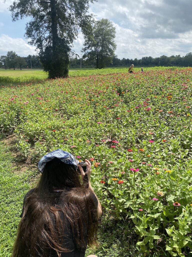 Pierce Farm - visitSI