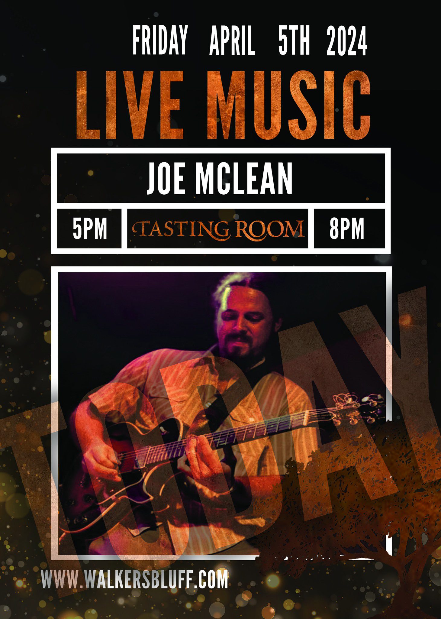 Joe McLean Live - visitSI Live Music in Marion Illinois