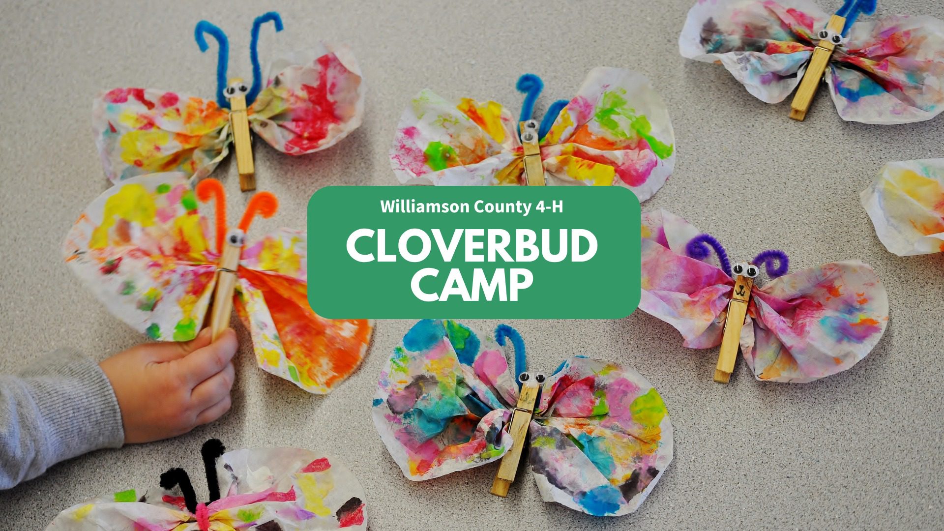 Clover Bud Kids Camp - visitSI